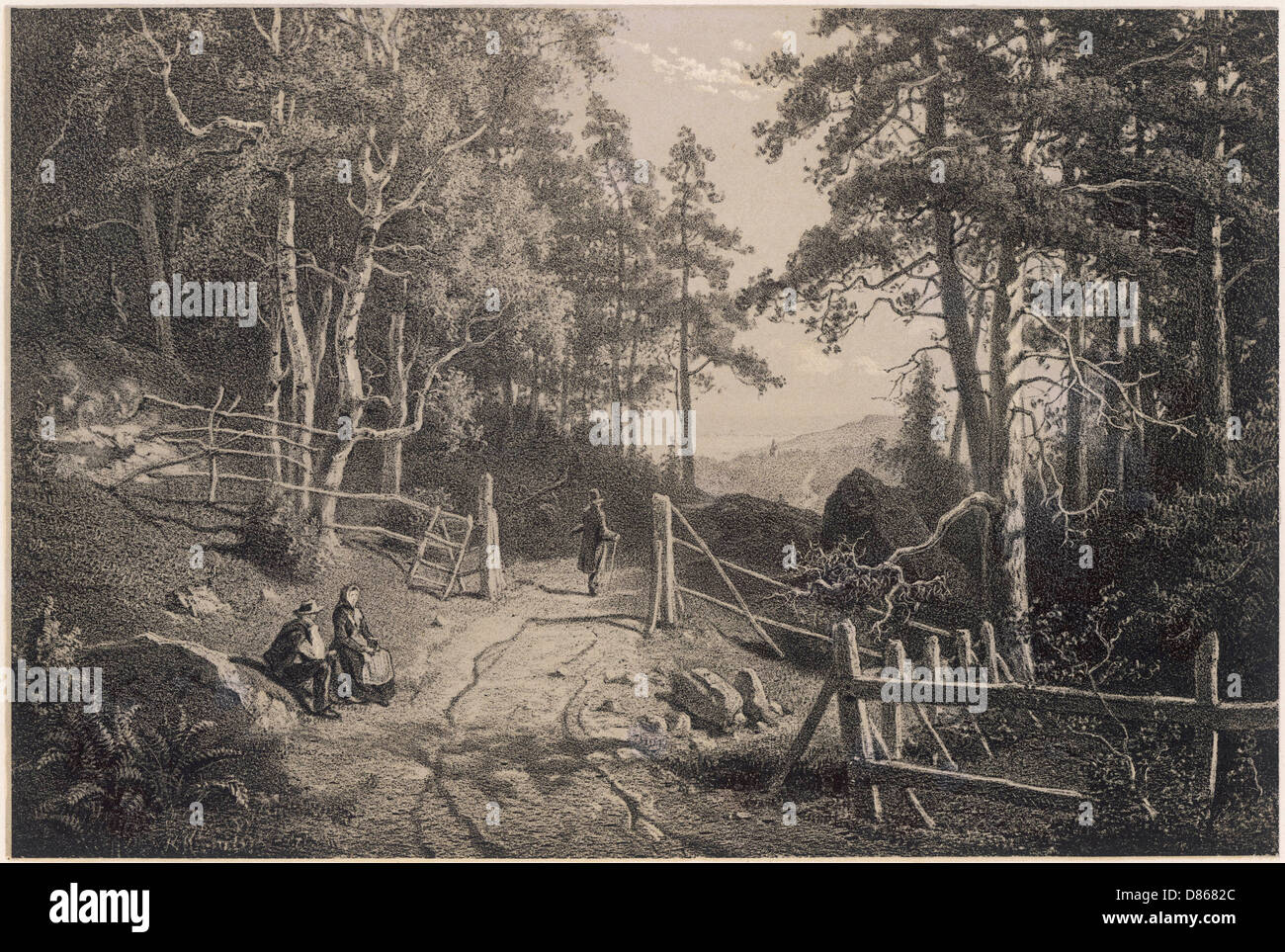 Scenery at Skogen, Sweden Stock Photo - Alamy