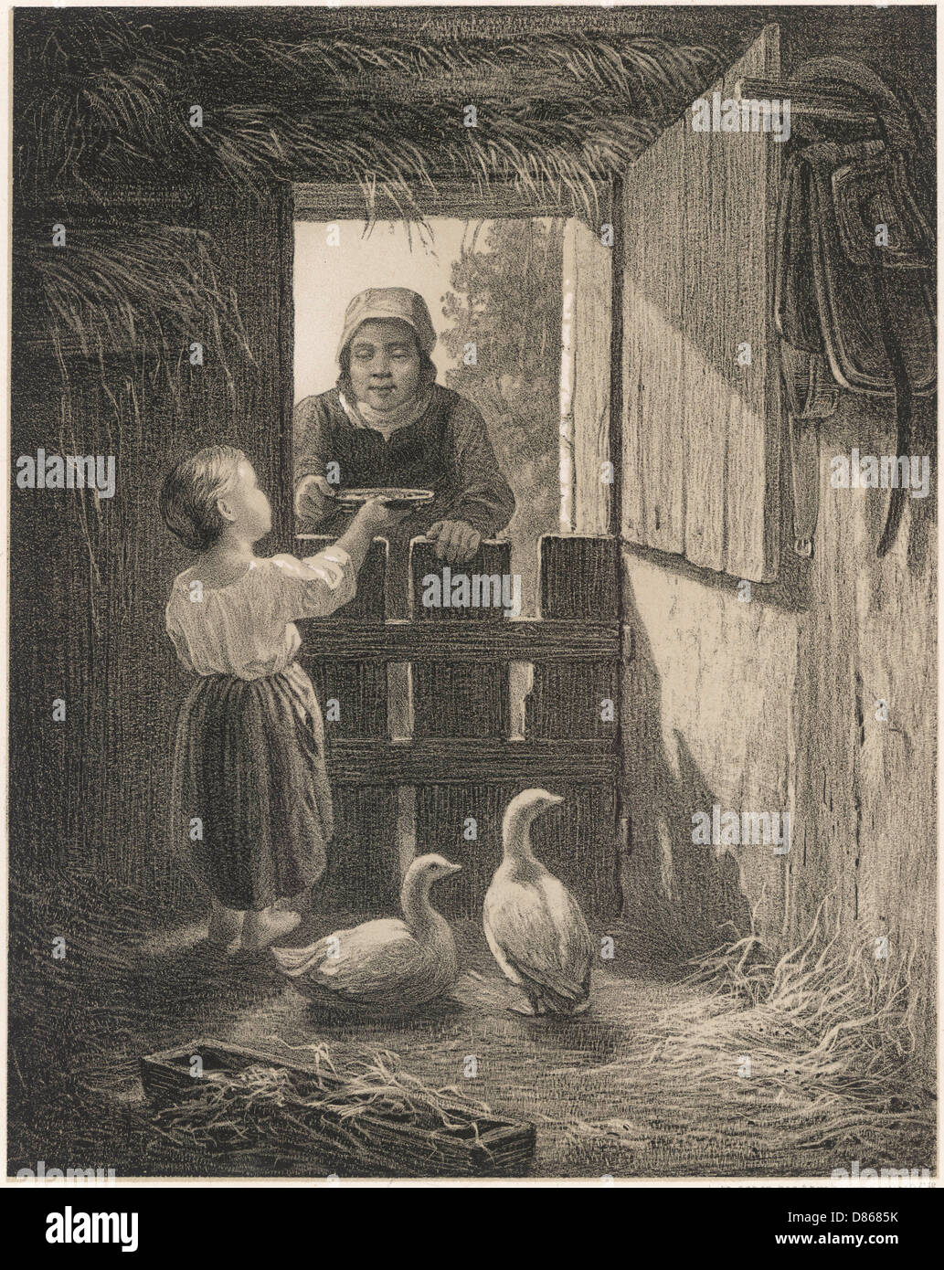 Fattening the Christmas geese, Sweden Stock Photo - Alamy