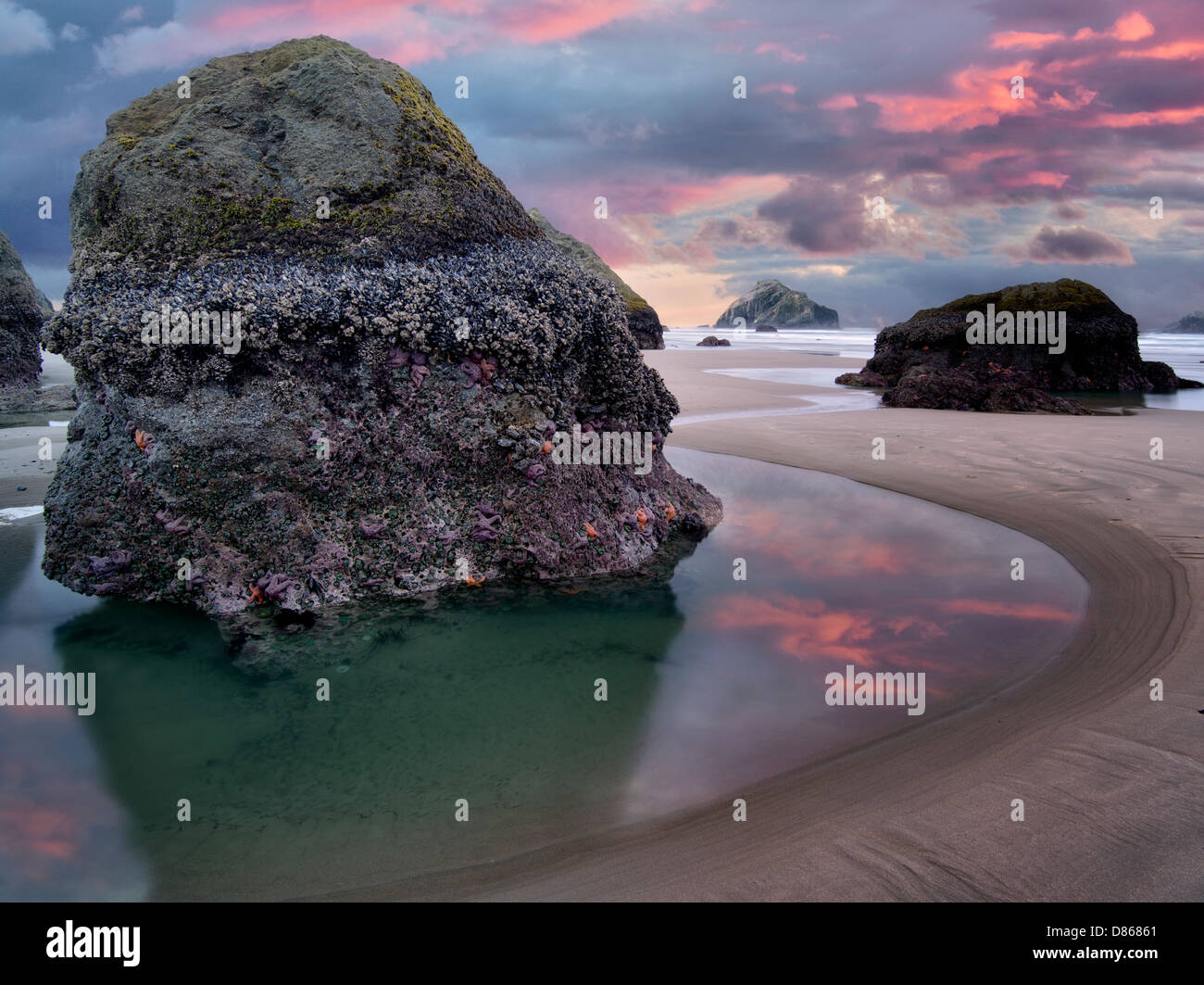 Low tide pool with starfish and sunset. Bandon, Oregon Stock Photo - Alamy