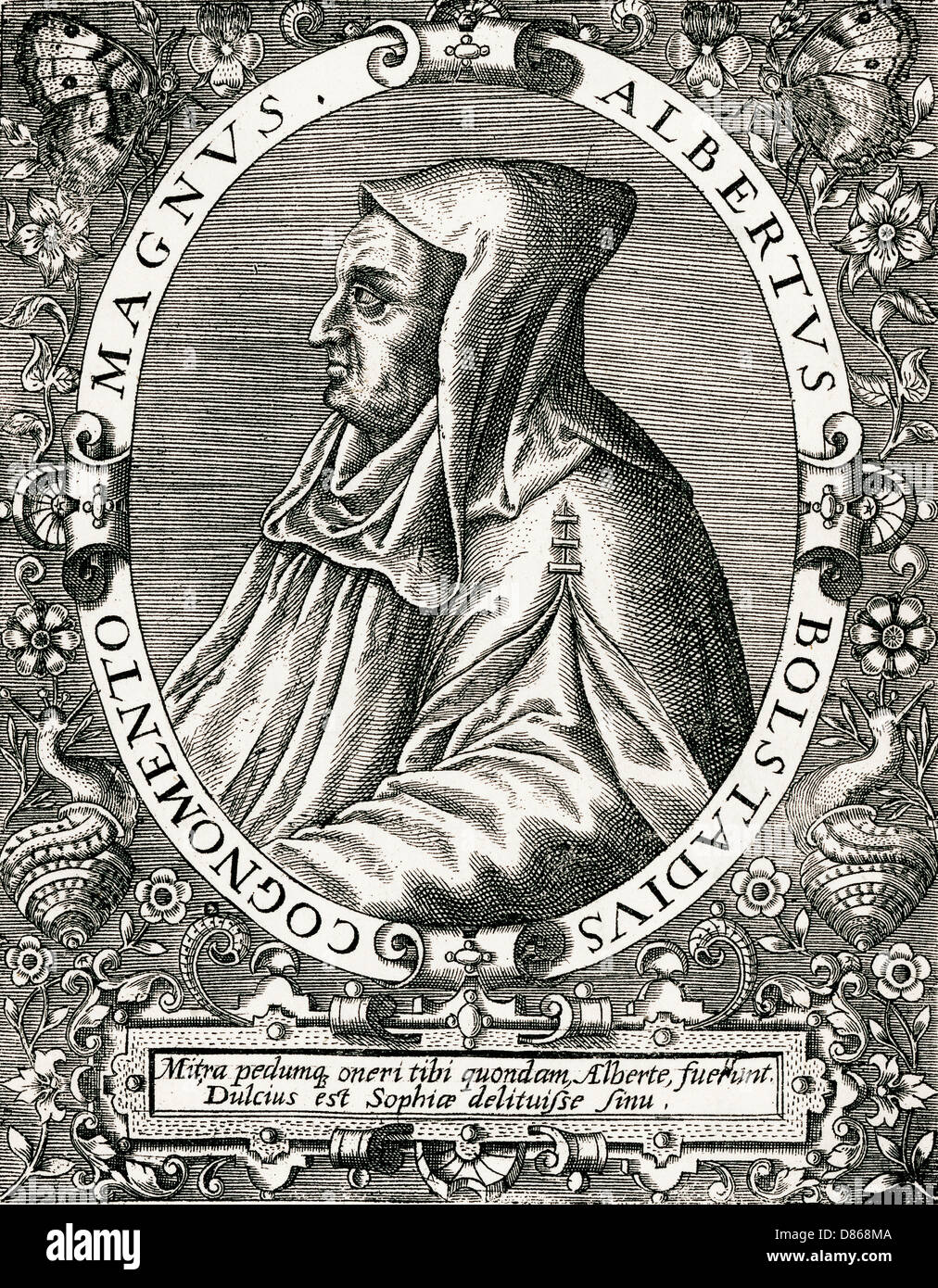 Albertus magnus hi-res stock photography and images - Alamy