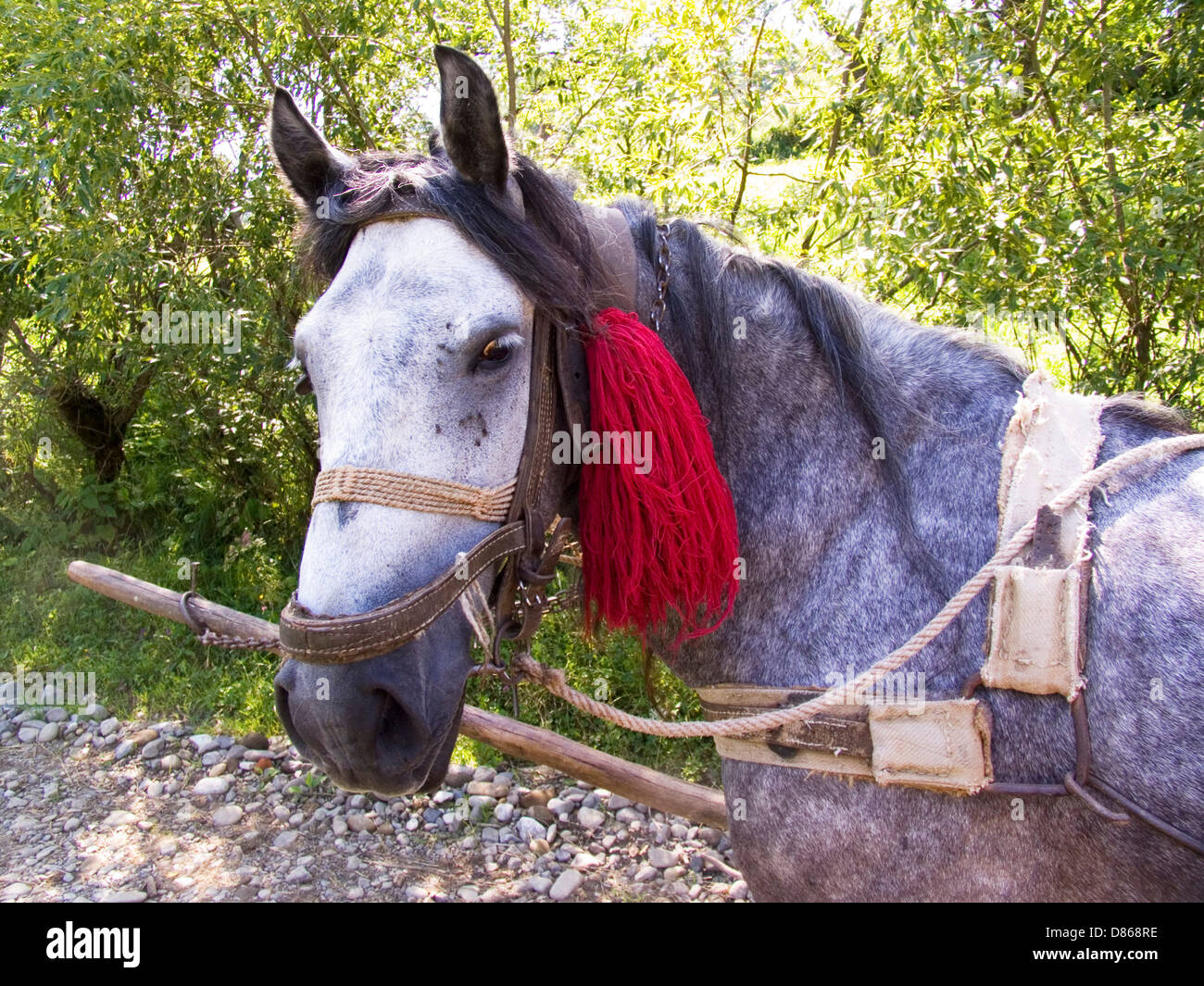 Maramures area hi-res stock photography and images - Alamy