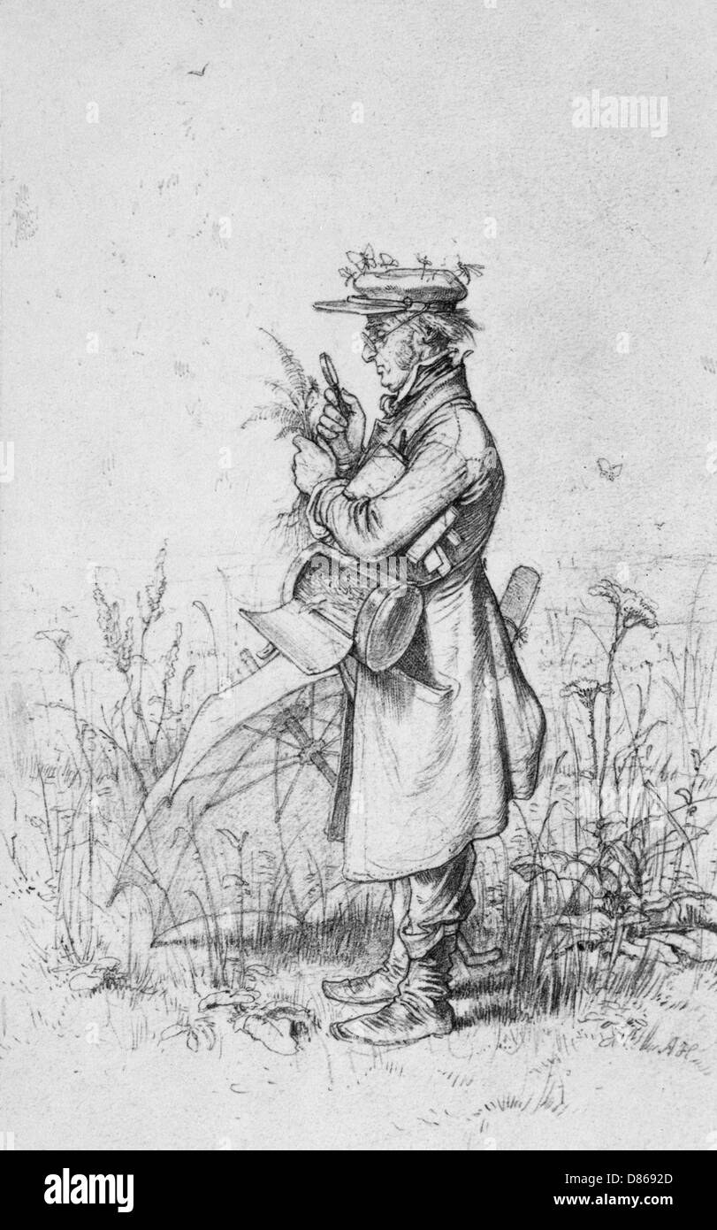 Botanist at work Stock Photo - Alamy