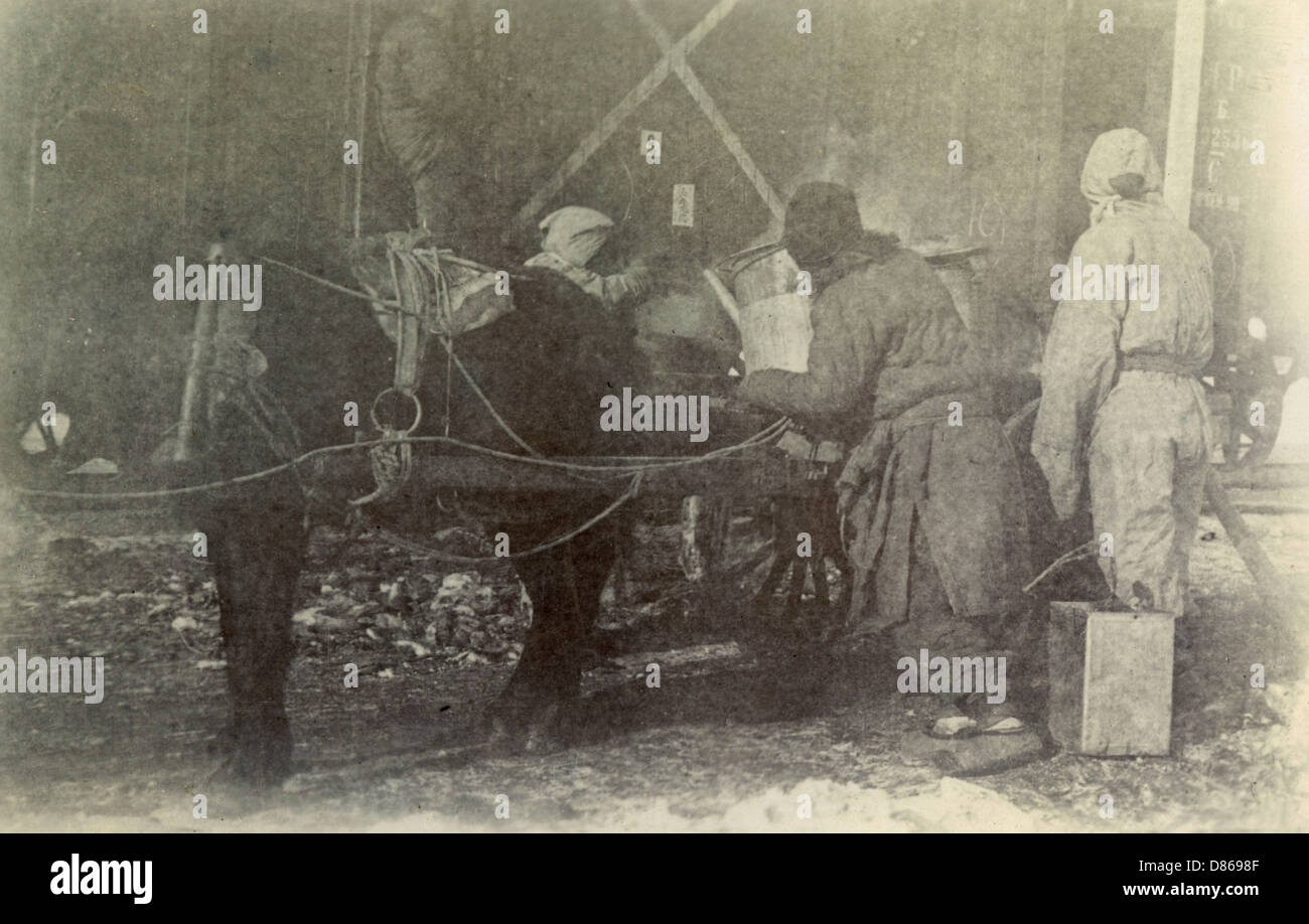 Bubonic plague hi-res stock photography and images - Alamy