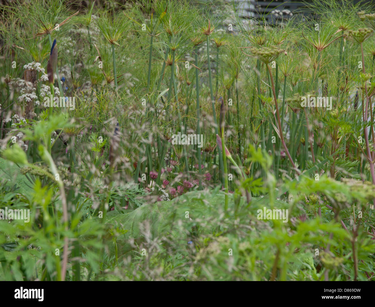London, UK. 20th May, 2013. The Chelsea Flower Show.The B&Q Sentebale ...