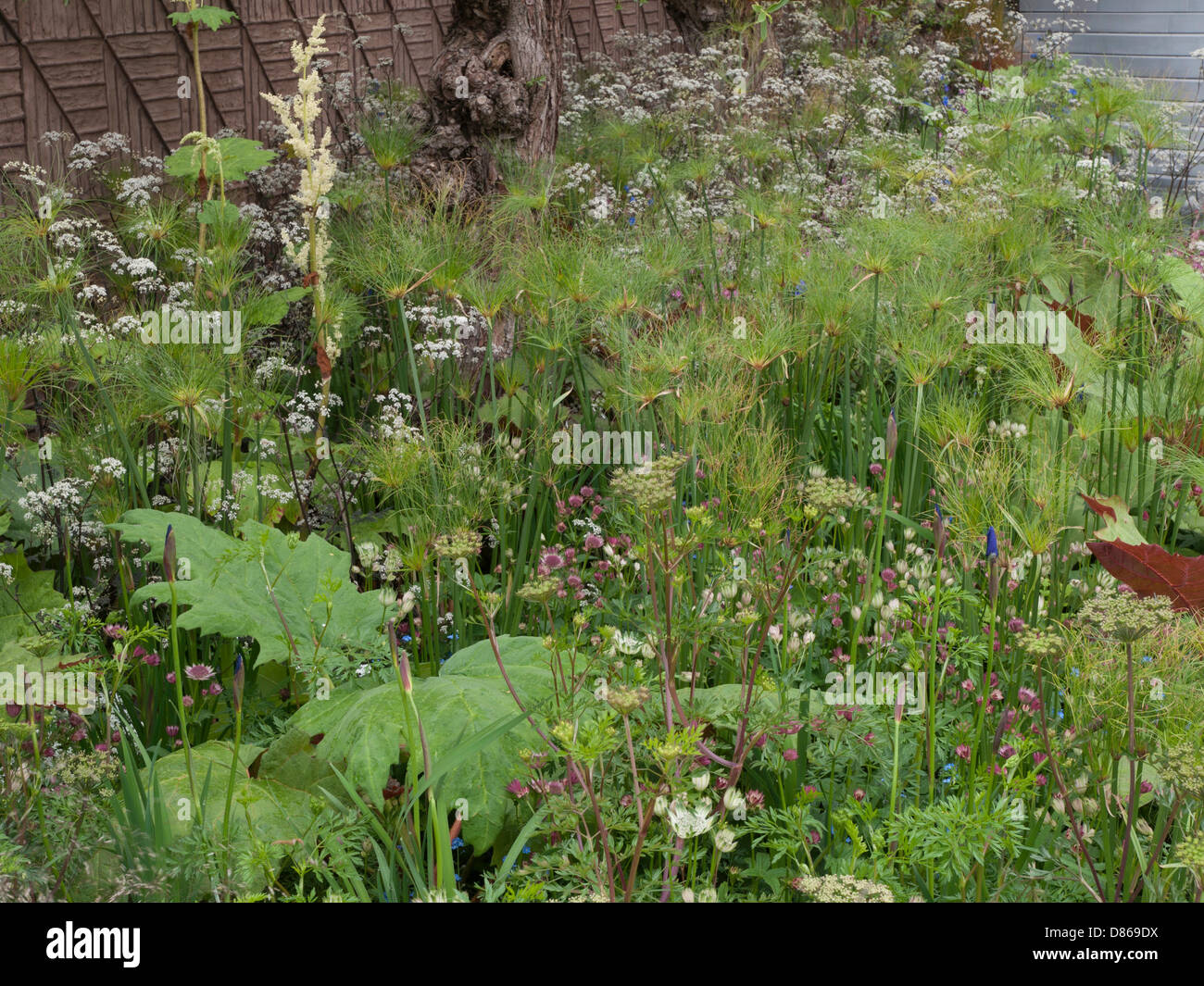 London, UK. 20th May, 2013. The Chelsea Flower Show.The B&Q Sentebale ...