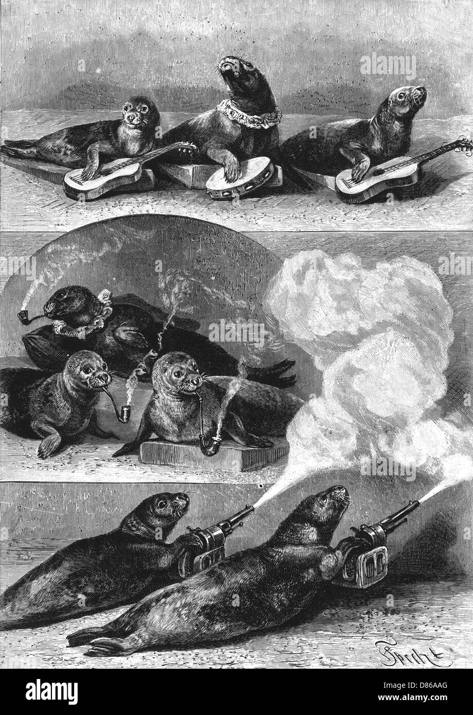 Animal circus Black and White Stock Photos & Images - Alamy