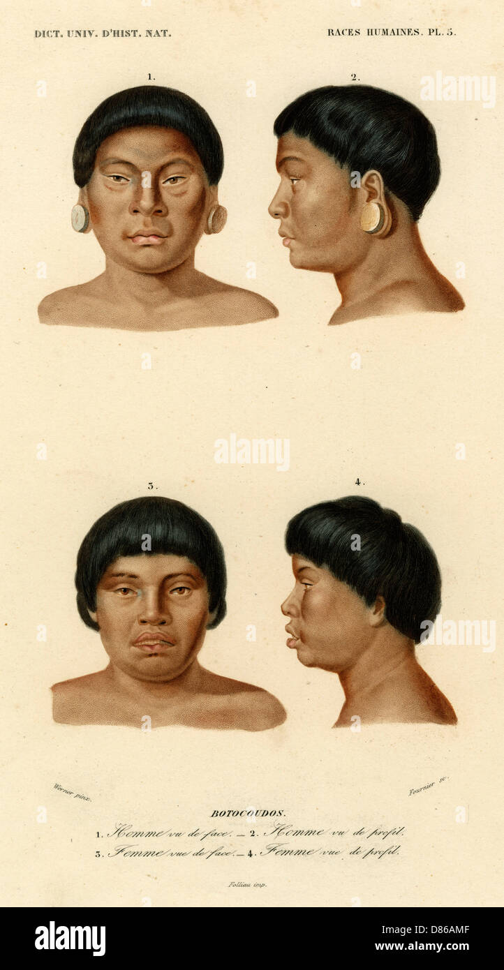 Botocudo tribe hi-res stock photography and images - Alamy