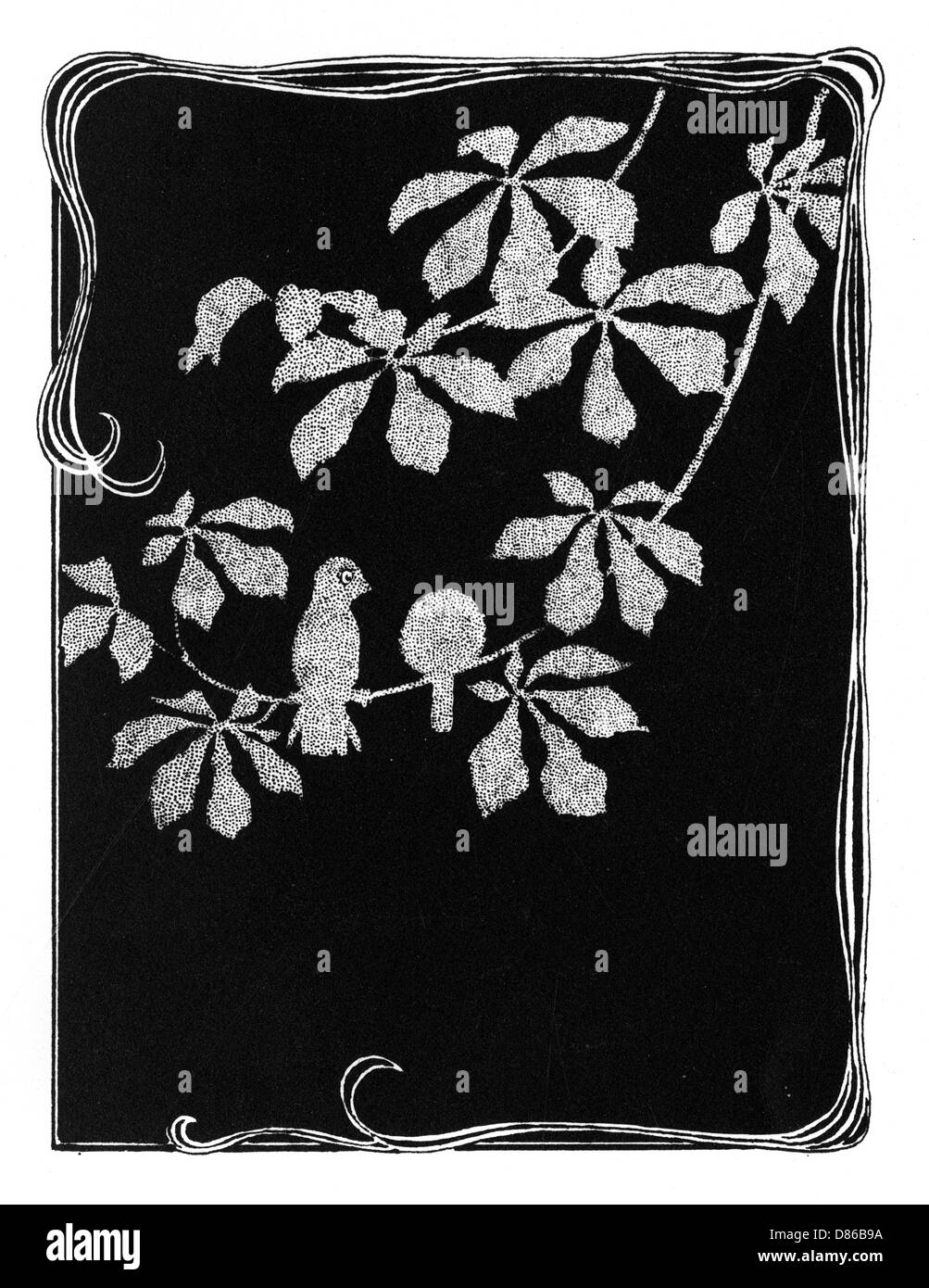 Bird perched illustration Black and White Stock Photos & Images - Alamy