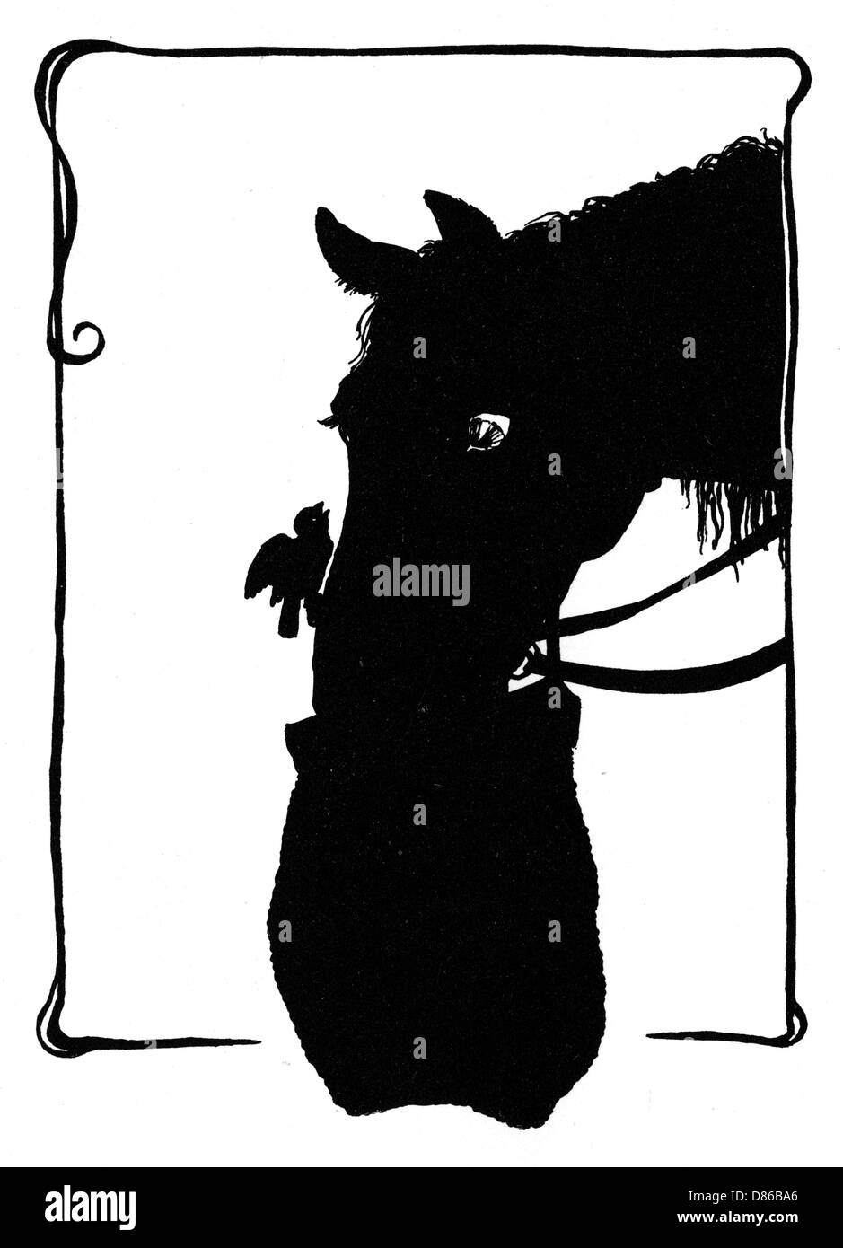 Few birds Cut Out Stock Images & Pictures - Alamy