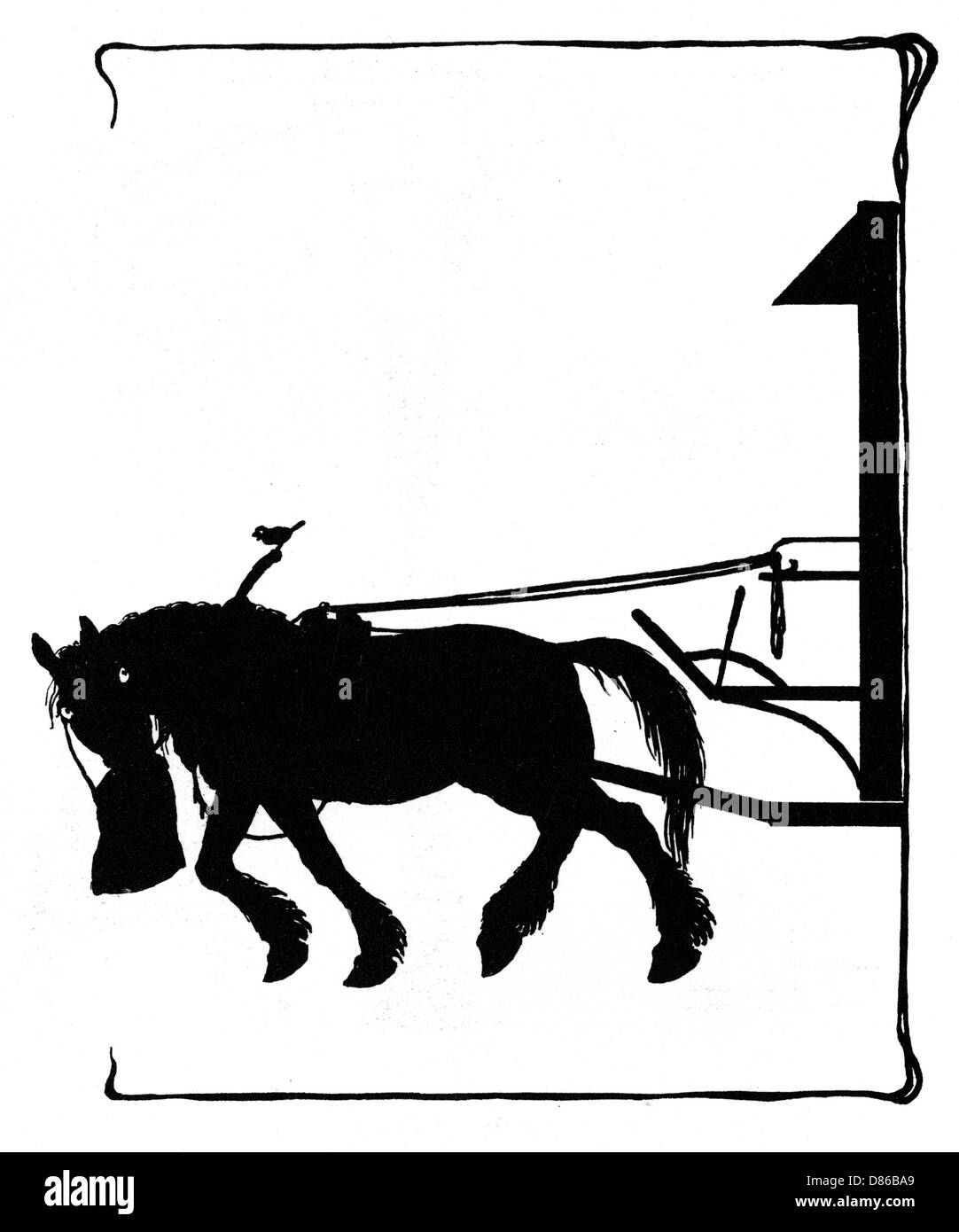 Bird perched illustration Black and White Stock Photos & Images - Alamy