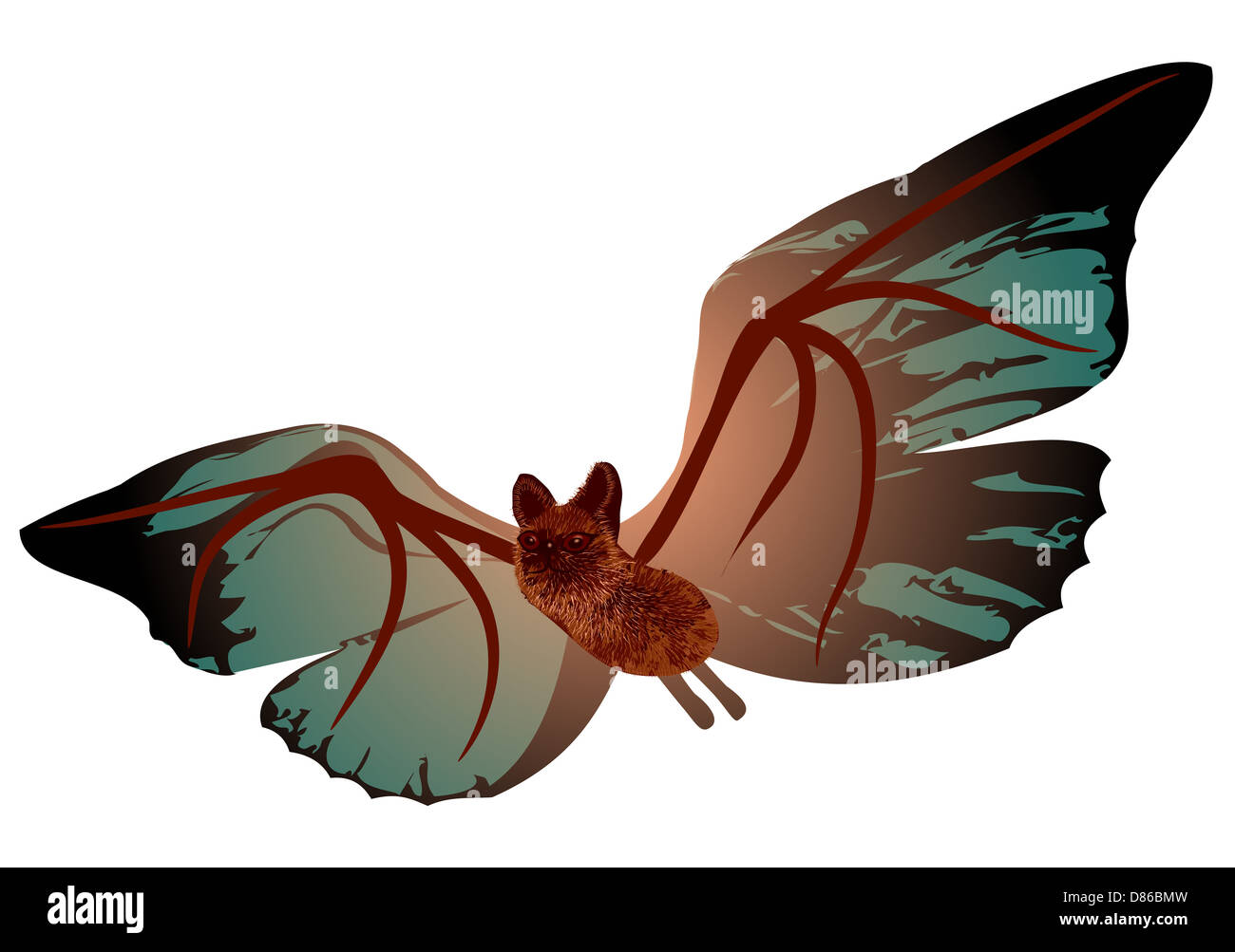 bizarre bat with butterfly wings Stock Photo - Alamy