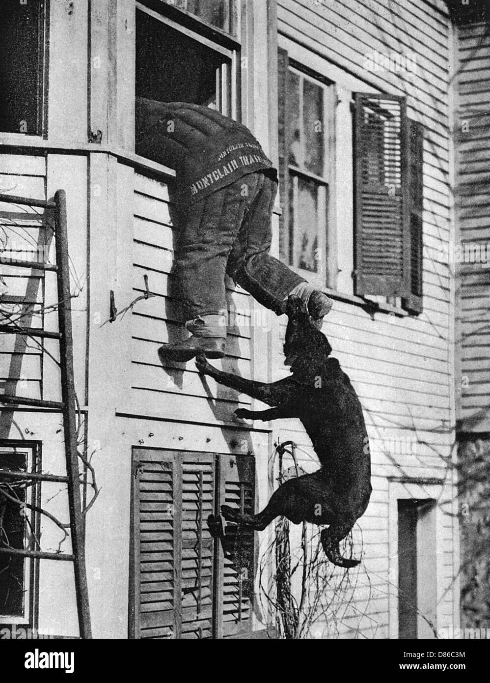 Police station window Black and White Stock Photos & Images - Alamy