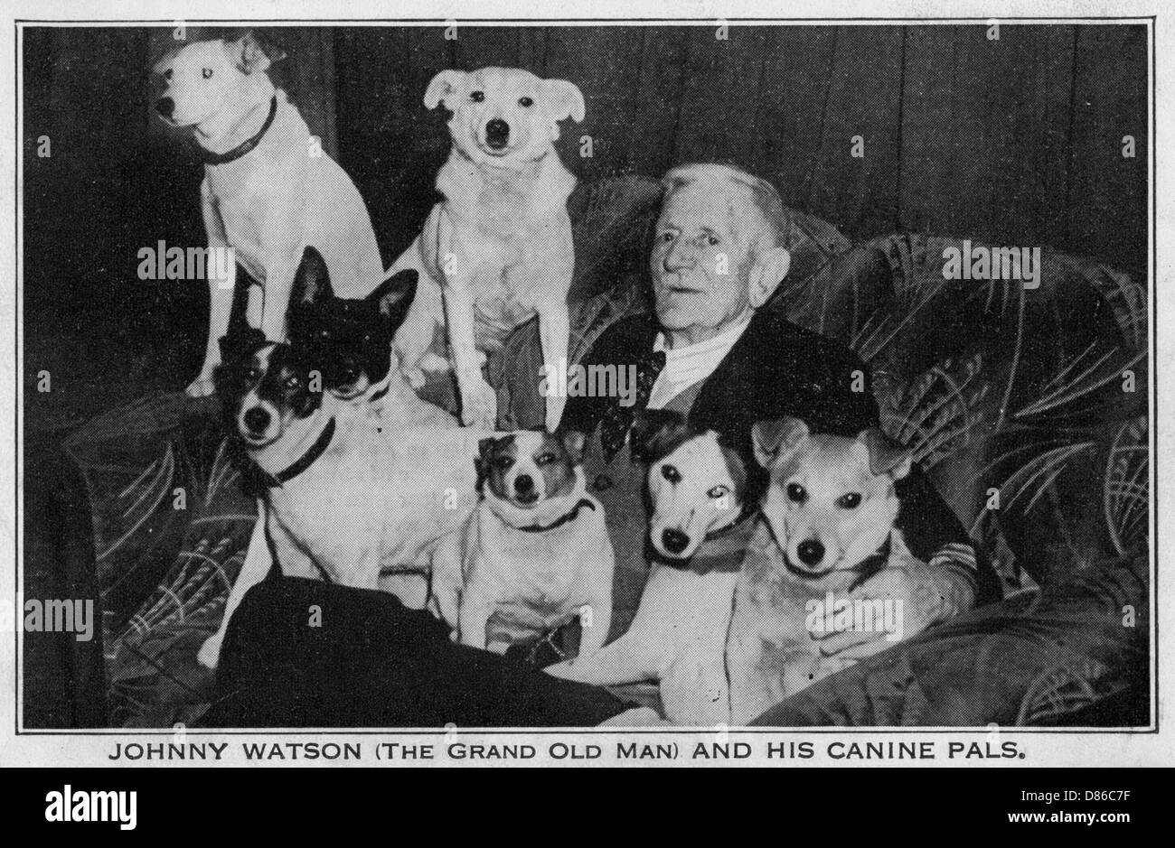 Johnny Watson and his canine pals Stock Photo - Alamy