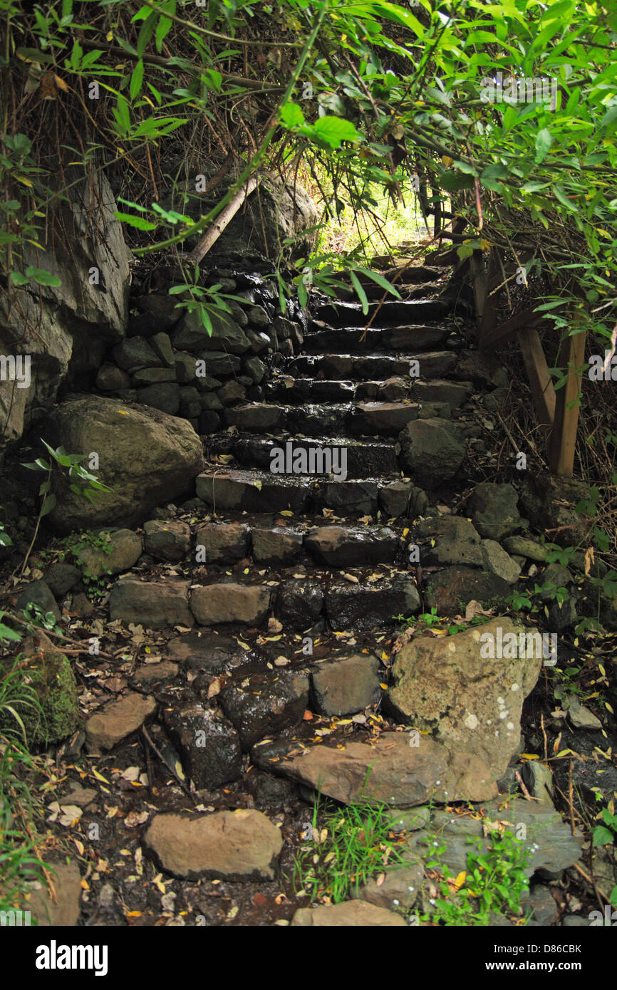 ancient stone stairway in Ruiz ravine. Tenerife island. Spain Stock ...