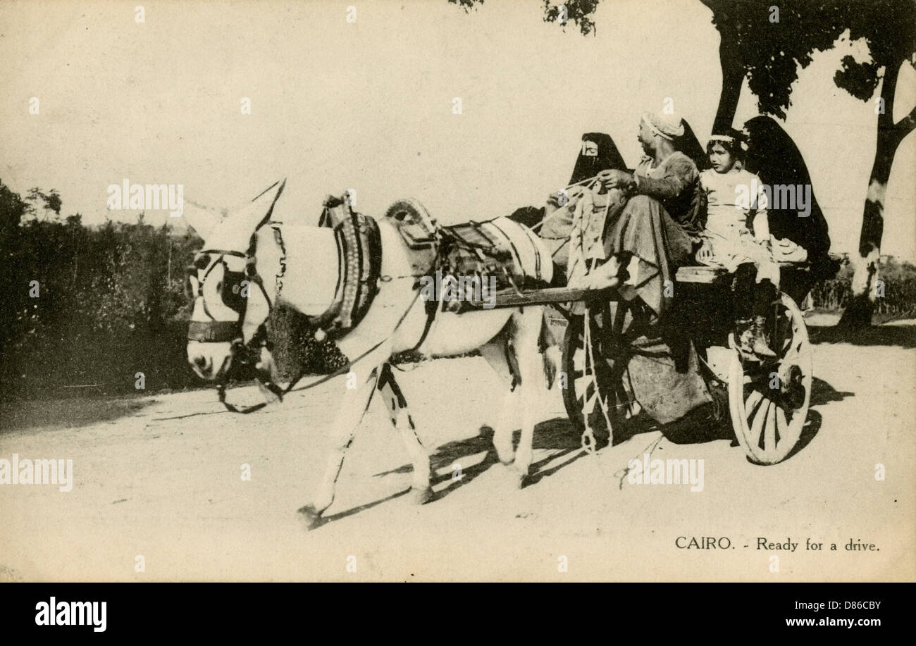 Native transport in Cairo, Egypt Stock Photo - Alamy
