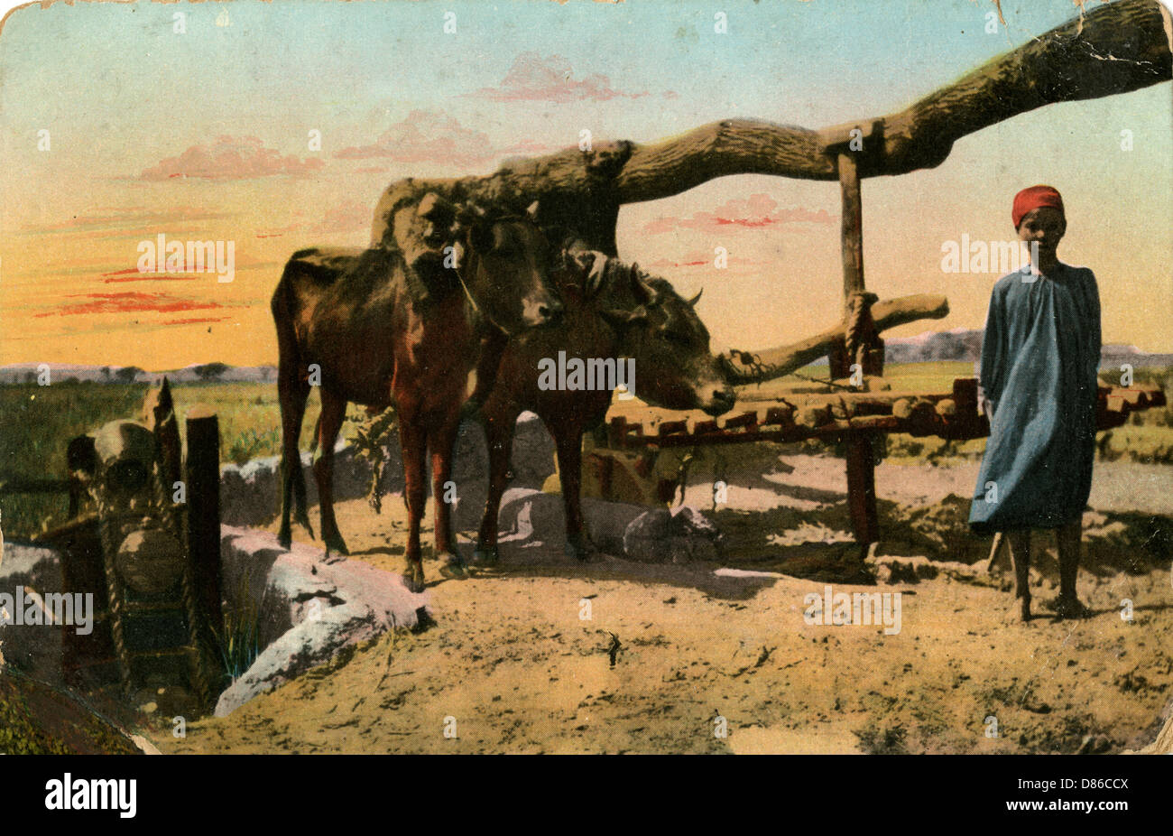 Water wheel in egypt hi-res stock photography and images - Alamy