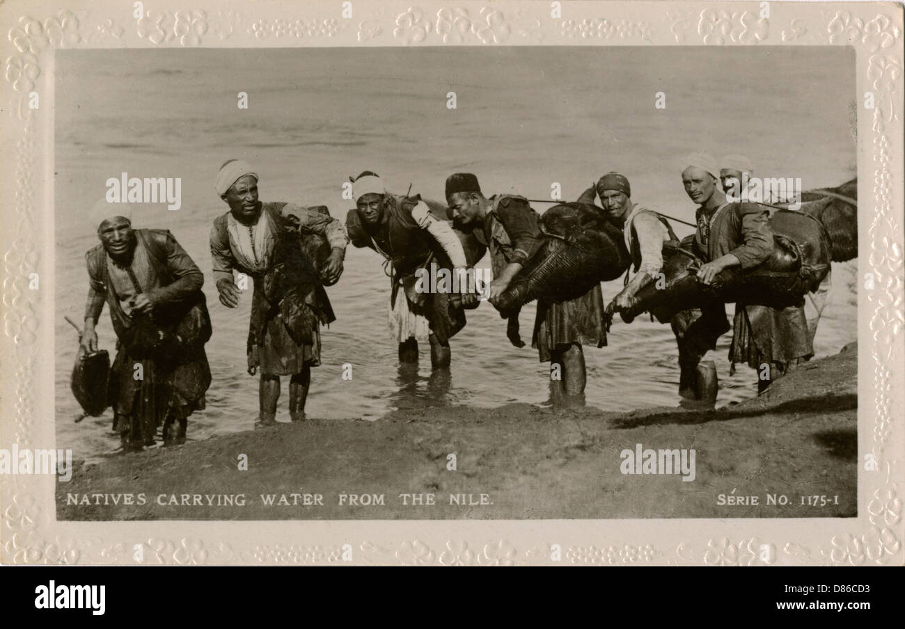 Water carriers with water from the Nile, Egypt Stock Photo - Alamy