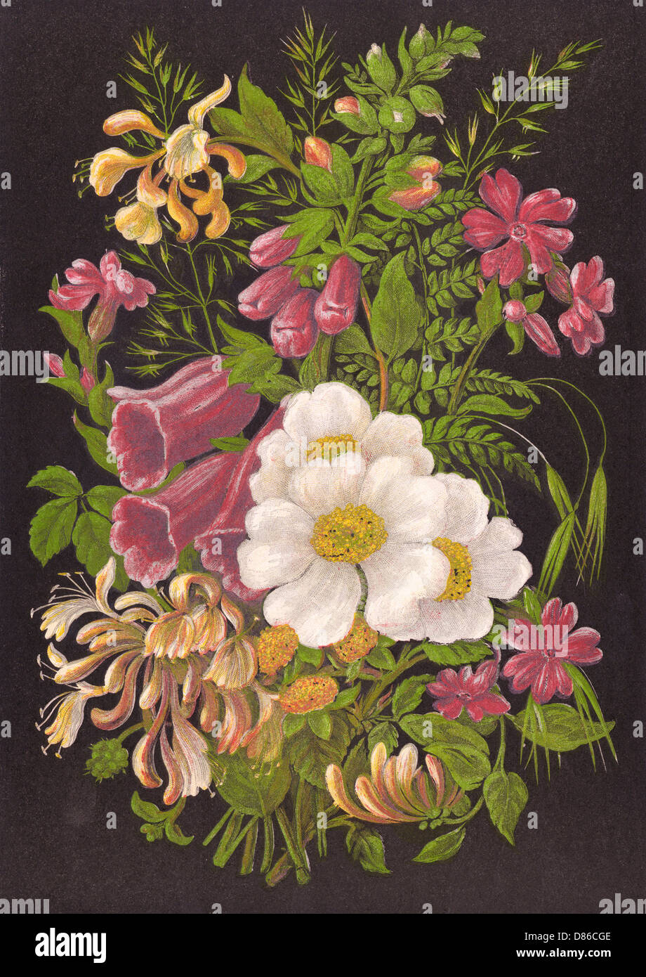 SUMMER FLOWERS 1880 Stock Photo - Alamy