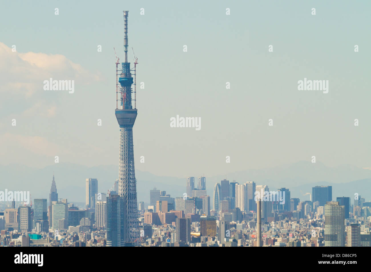 The Tokyo Sky Tree stands tall against the backdrop of the Shinjuku ...