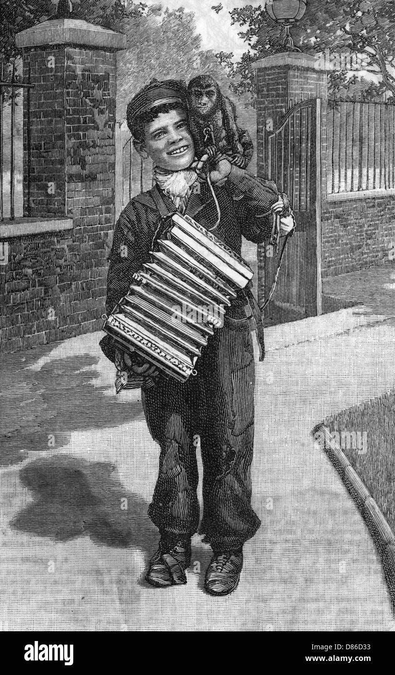 Monkey music box hi-res stock photography and images - Alamy