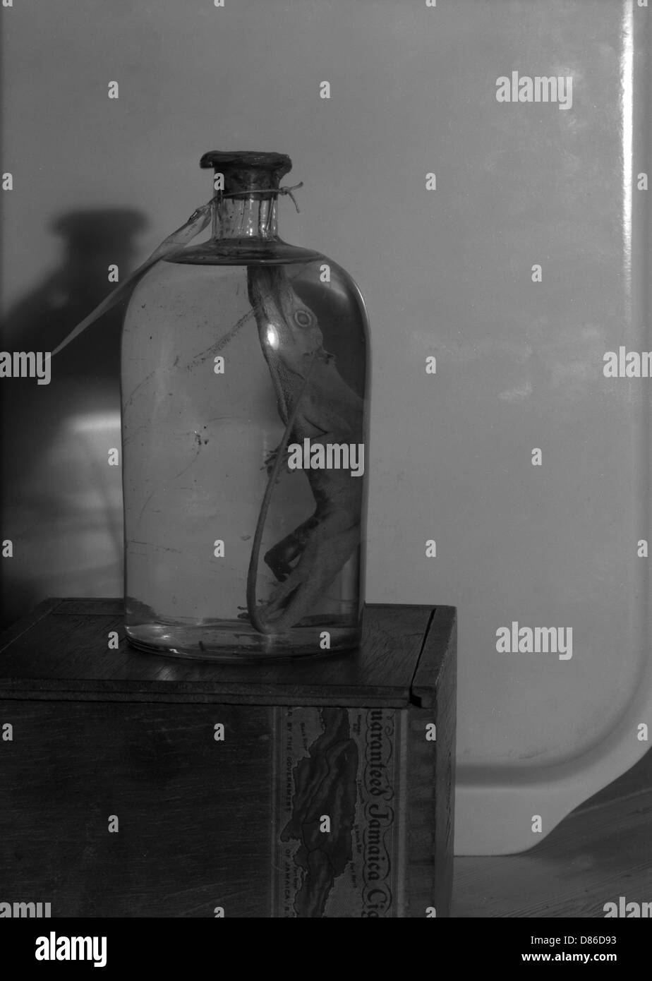 Interior of Louis Kentner's house Stock Photo - Alamy