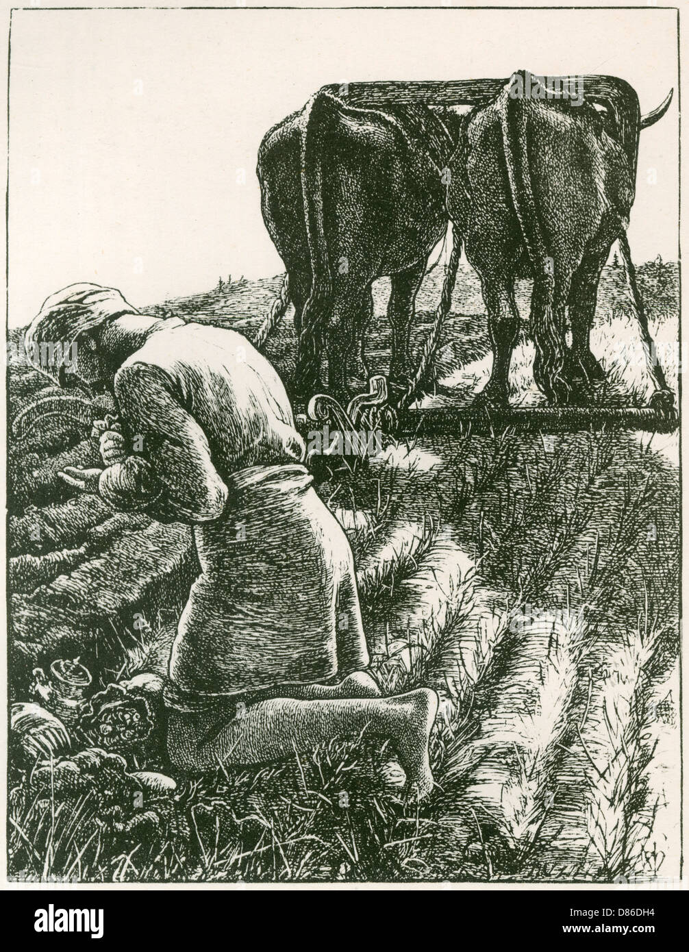 Treasure hidden in a field hi-res stock photography and images - Alamy