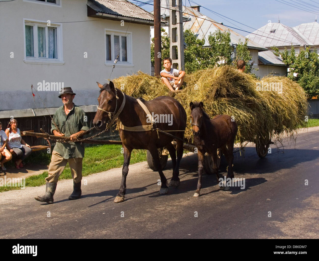 europe, romania, maramures, iza valley, village, farmers Stock Photo ...