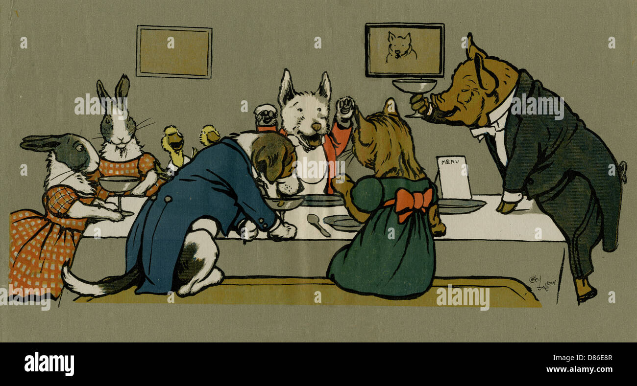 Hungry Peter the pig's dinner party Stock Photo - Alamy