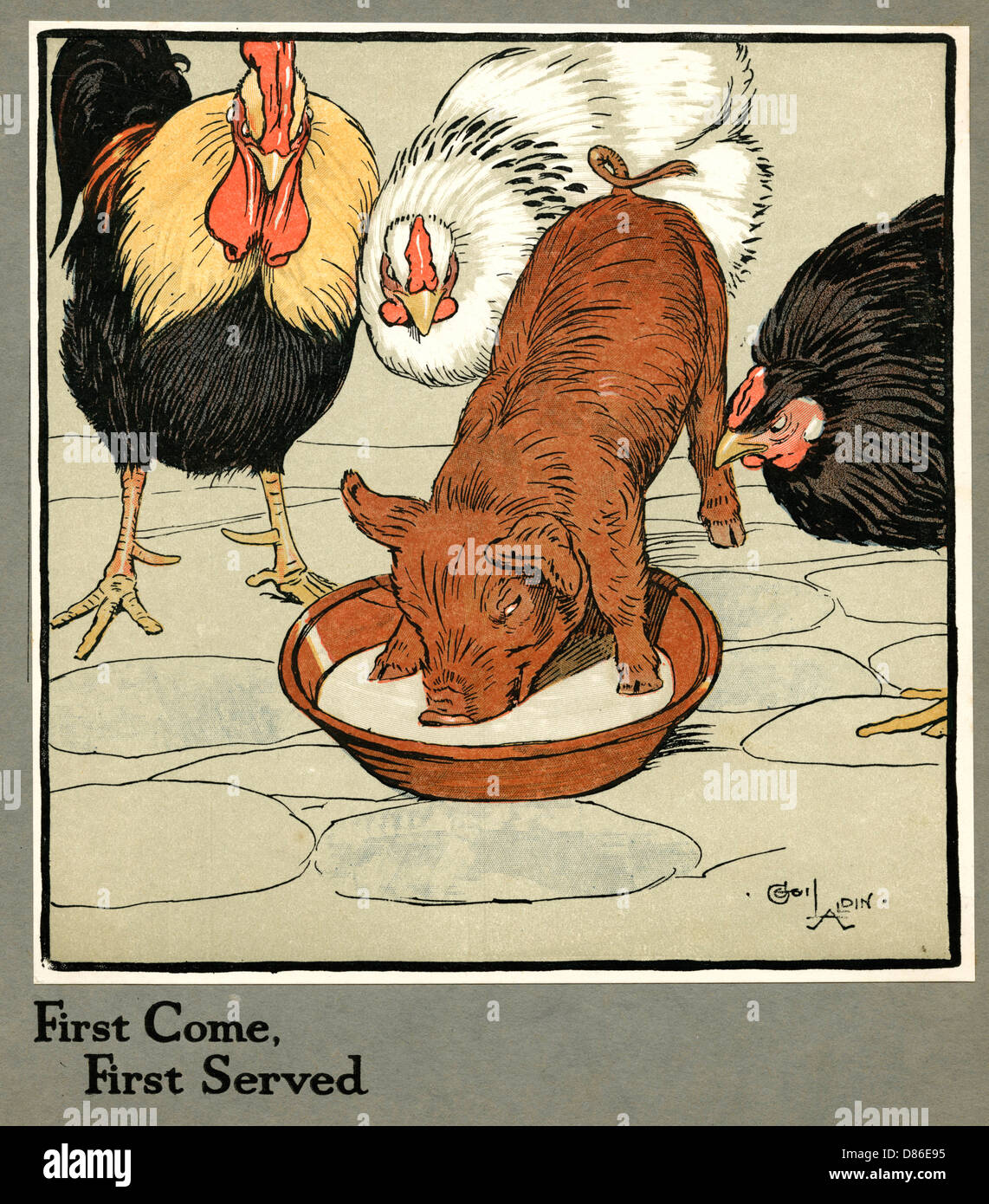 Hungry Peter as a piglet stealing poultry food Stock Photo - Alamy