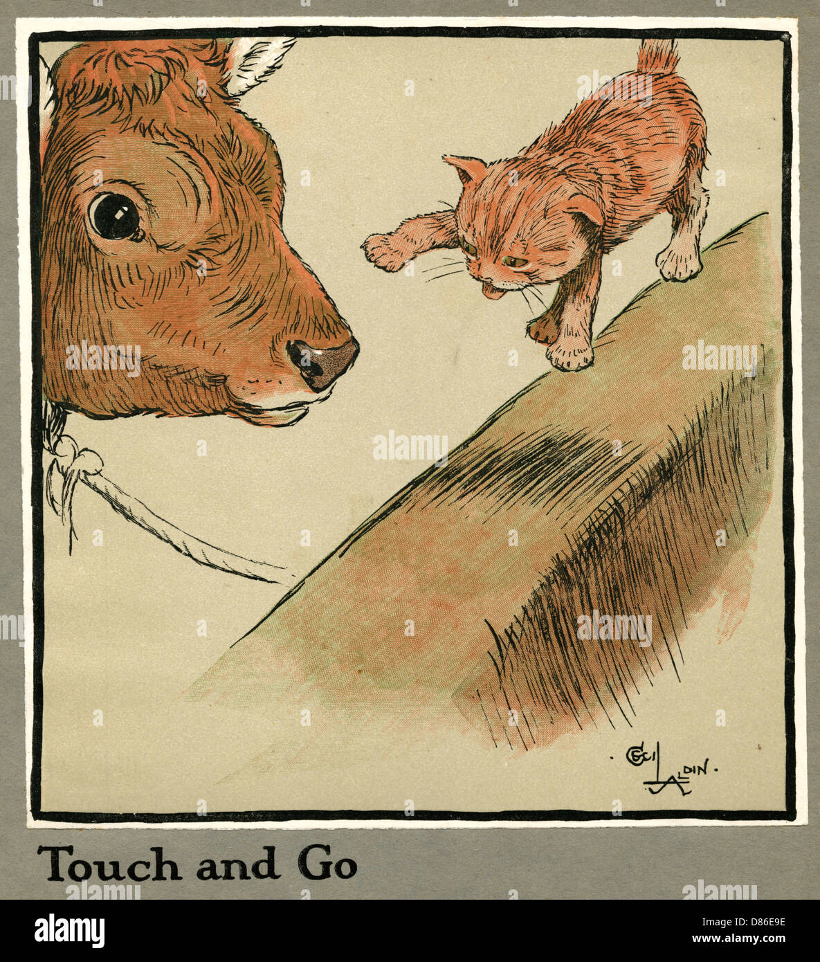 Rufus the cat with Blossom the cow Stock Photo - Alamy