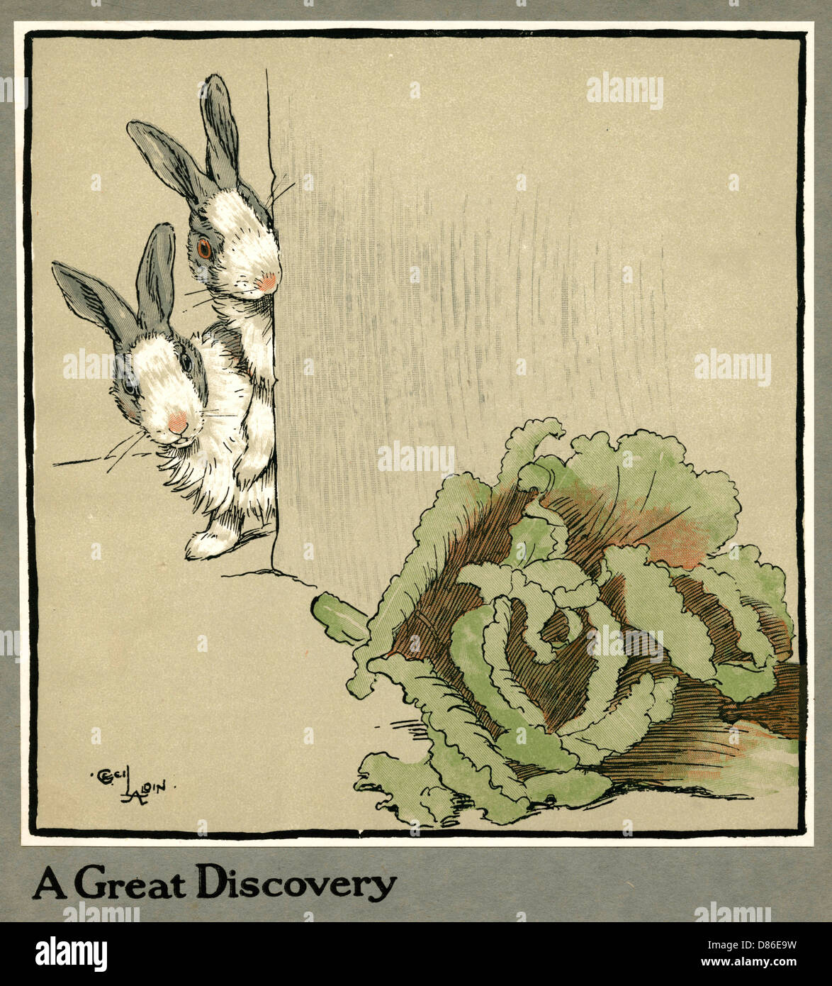 Humpty and Dumpty the rabbits find a cabbage Stock Photo - Alamy