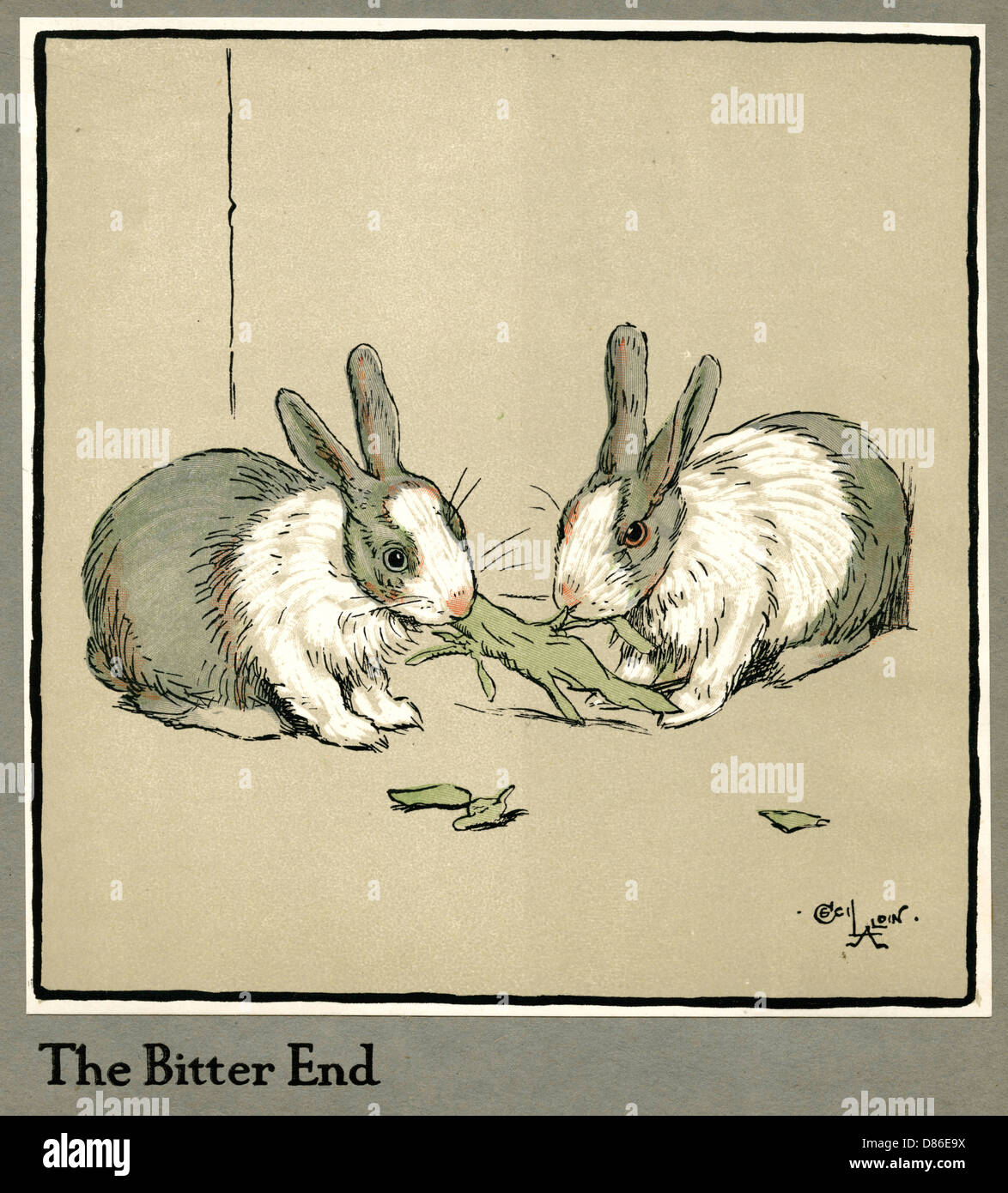 Humpty and Dumpty the rabbits eating a cabbage Stock Photo - Alamy