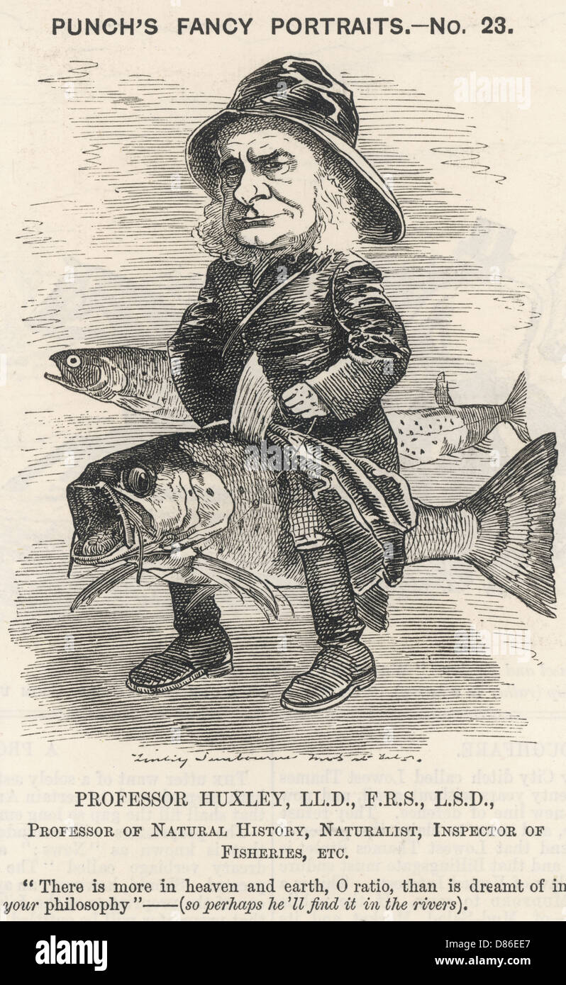 Sambourne hi-res stock photography and images - Alamy