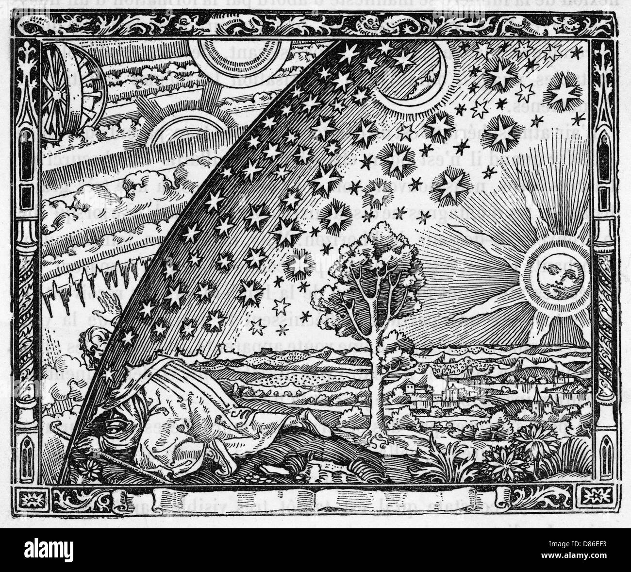 Earth wolf or aardwolf Black and White Stock Photos & Images - Alamy