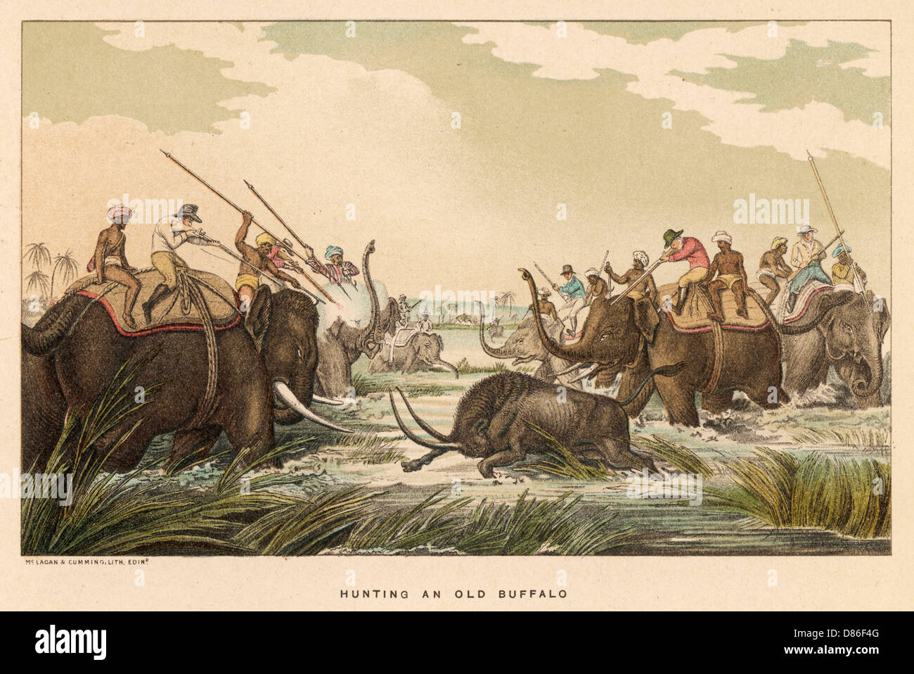Hunting Buffalo while Riding Elephants Stock Photo - Alamy
