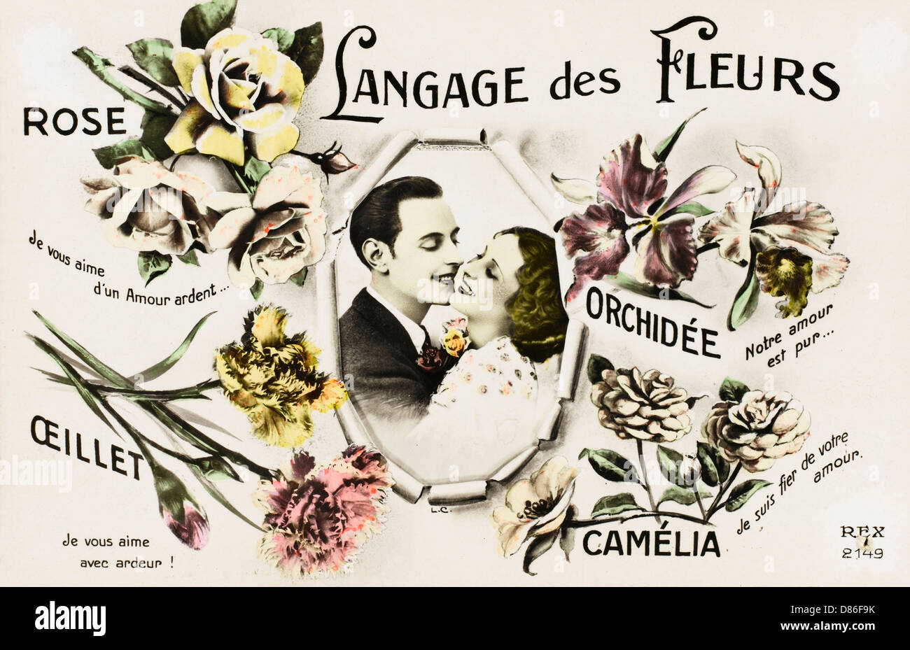 Flower Languages and Variations in French Stock Photo - Alamy