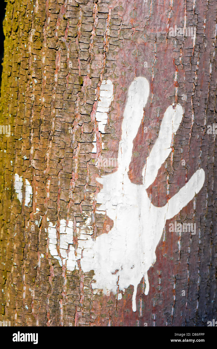 Macro human thumb pattern hi-res stock photography and images - Alamy