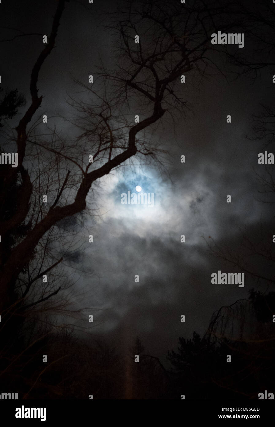 Scarry moon hi-res stock photography and images - Alamy
