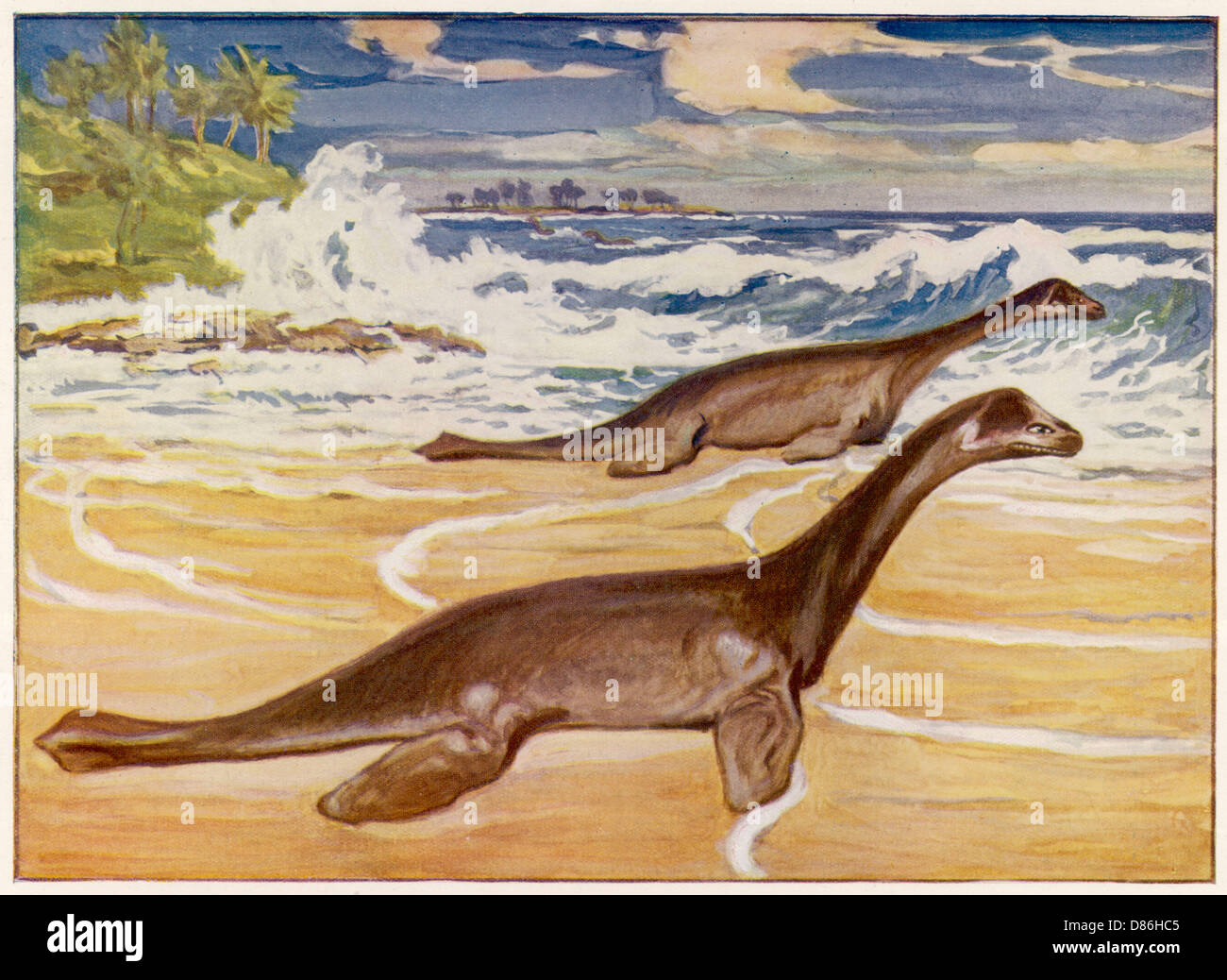 Plesiosaurs High Resolution Stock Photography and Images - Alamy