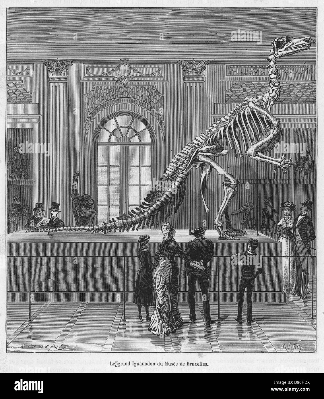 Iguanodon Dinosaur High Resolution Stock Photography and Images - Alamy