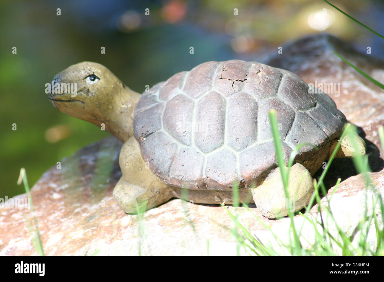 a small turtle Stock Photo - Alamy