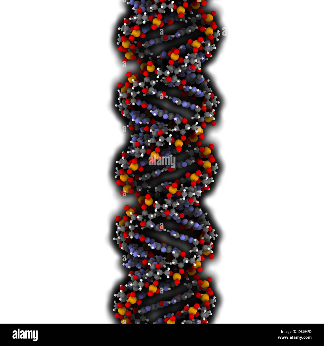 DNA (A-DNA conformation) structure. DNA is the main carrier of genetic ...