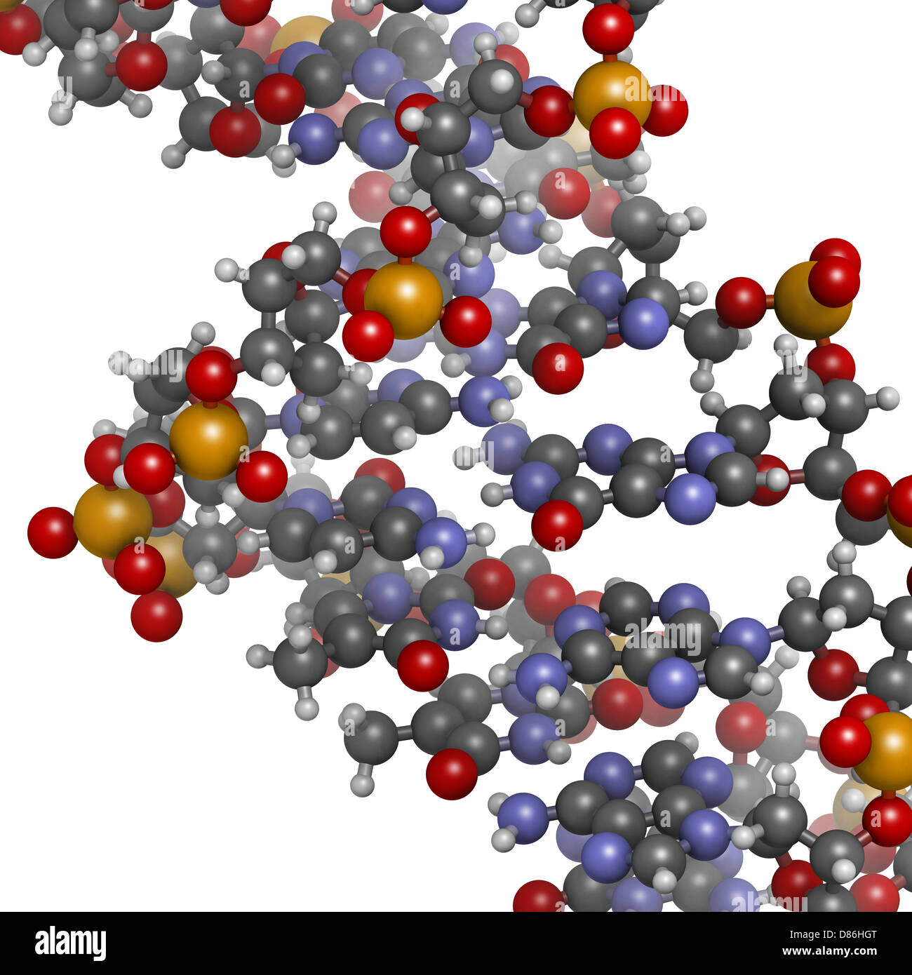 DNA structure. Computer model of part of the gene for human growth ...
