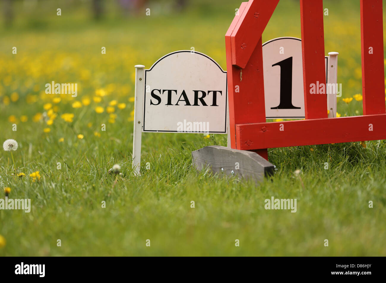 horse jumping start sign in buttercup field. red jump visible to right ...