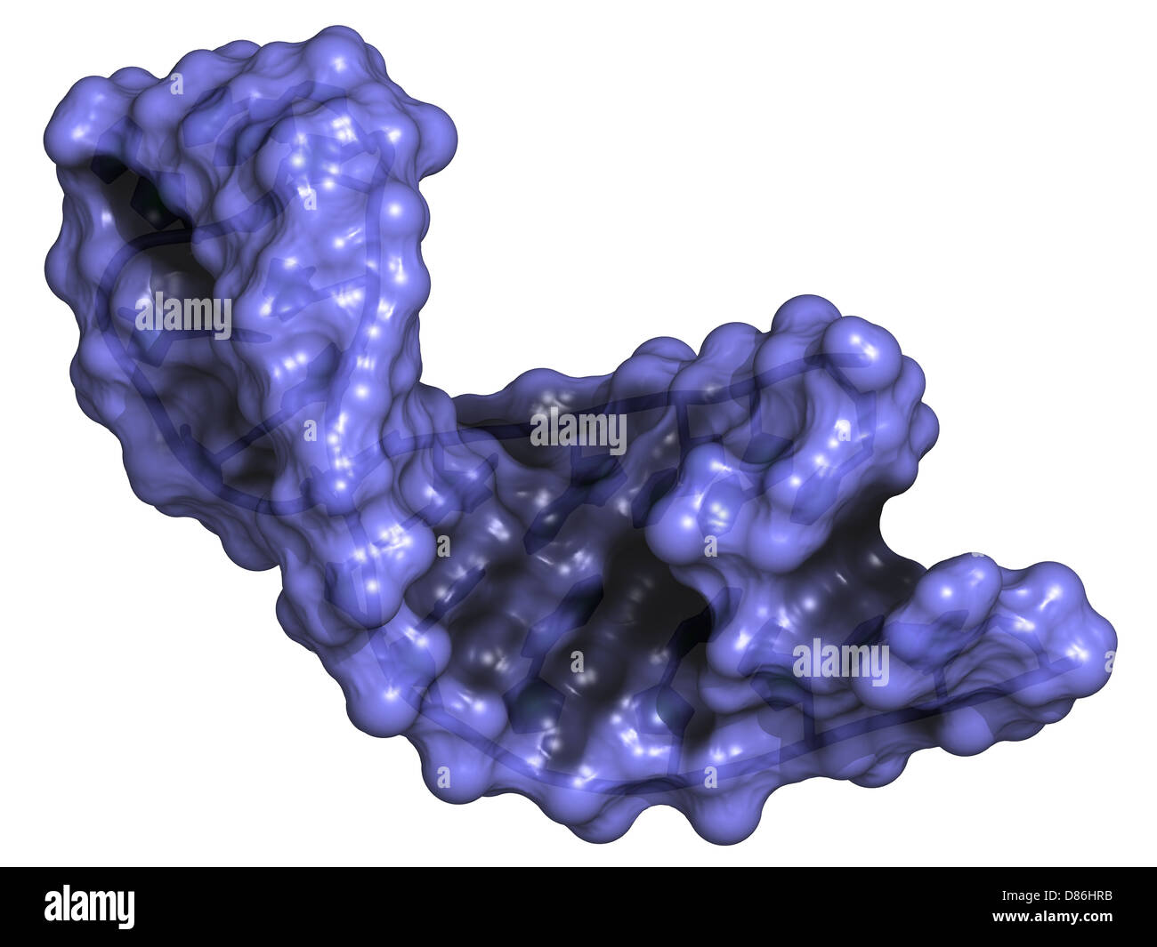 Micro RNA (miRNA, hsa-miR-133a) structure, computer model. MiRNA is non ...