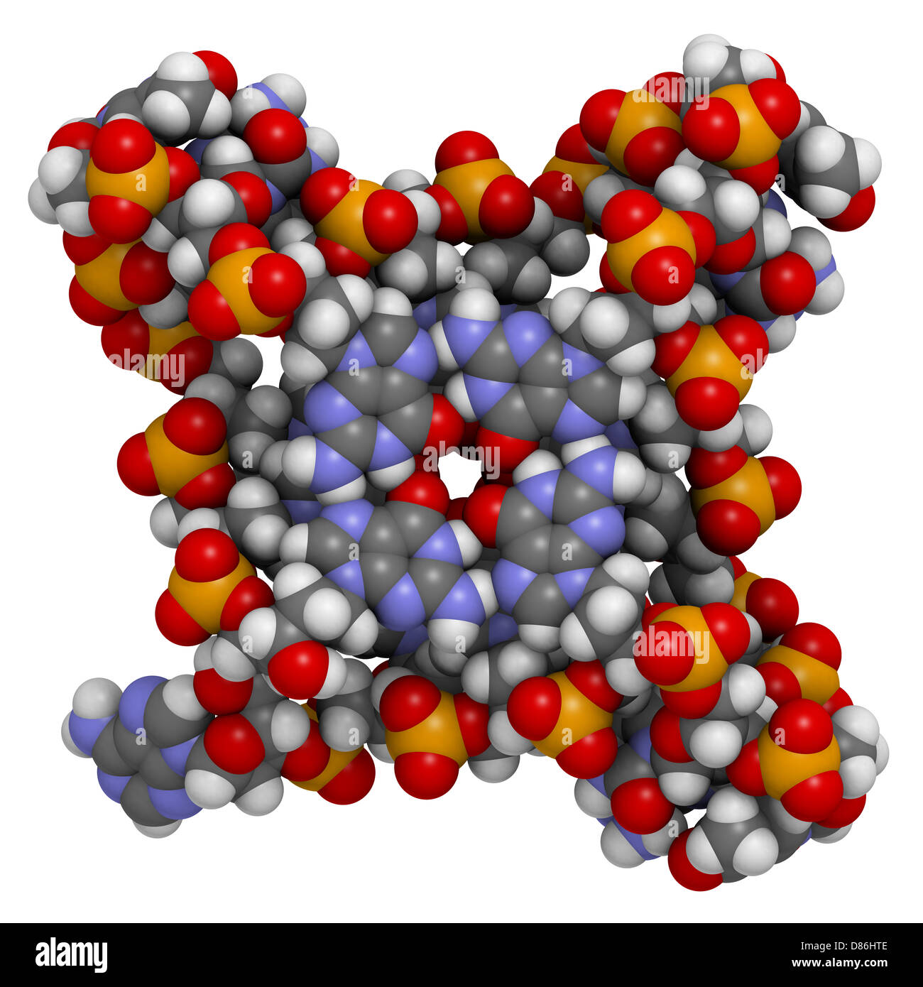 Telomere: structure of human telomeric DNA. Atoms are represented as ...