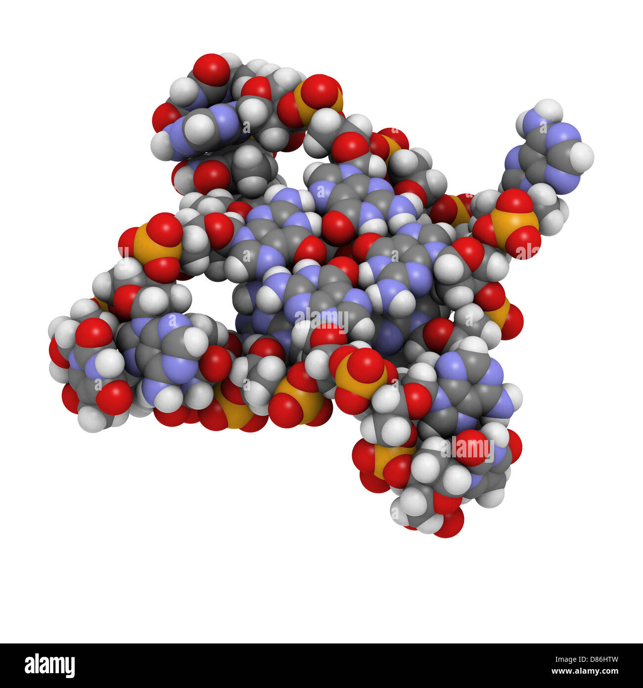 Telomere: structure of human telomeric DNA. Atoms are represented as ...