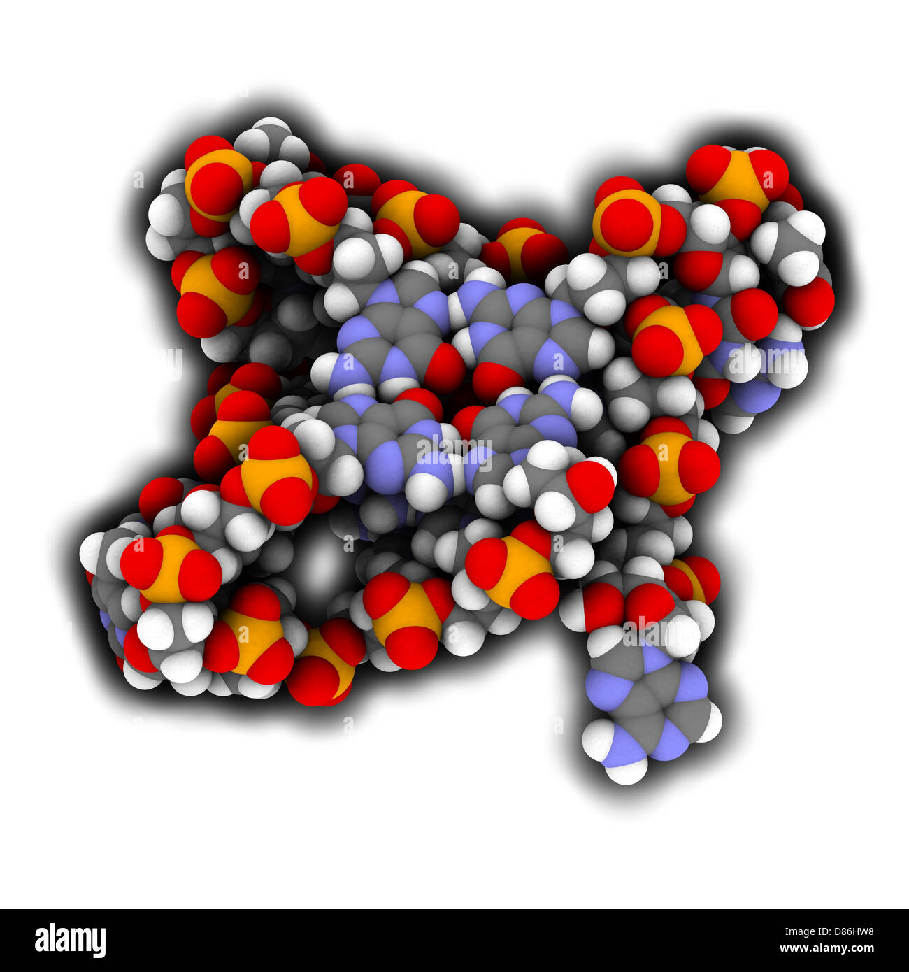 Telomere: structure of human telomeric DNA. Atoms are represented as ...