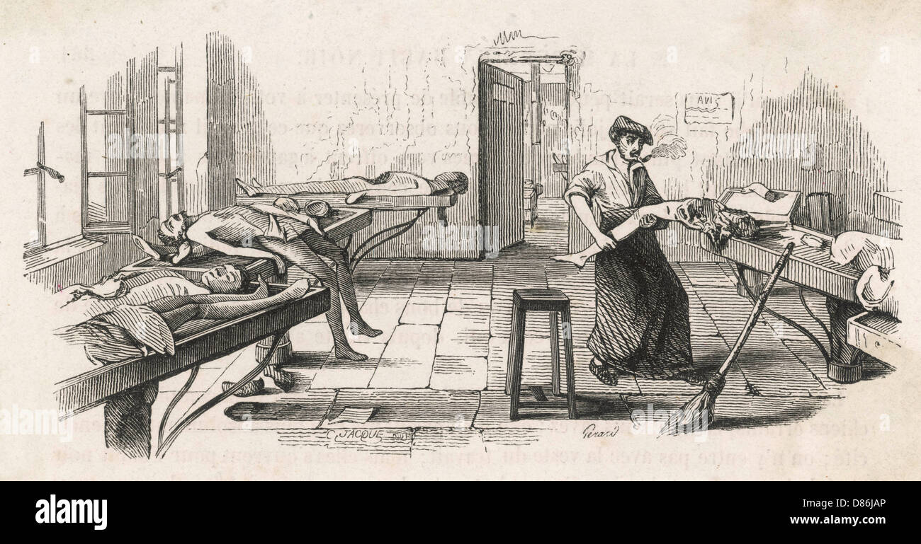 Anatomy dissection hi-res stock photography and images - Alamy