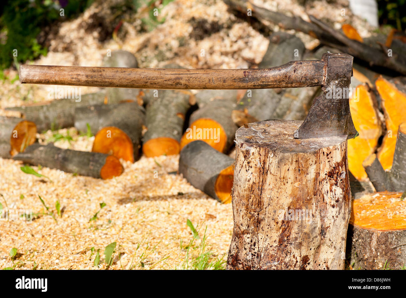 Axe impaled in log and fragments of alder Stock Photo - Alamy